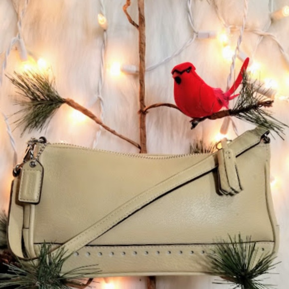 Coach | Bags | Coach Buff Leather Pochette | Poshmark